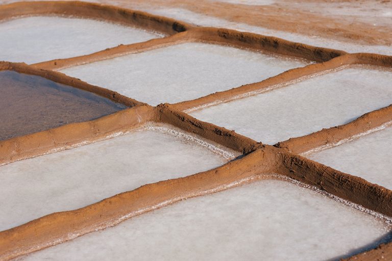 Kuulei Santos and the Salt Makers of Hanapepe - Good Food Jobs Good ...