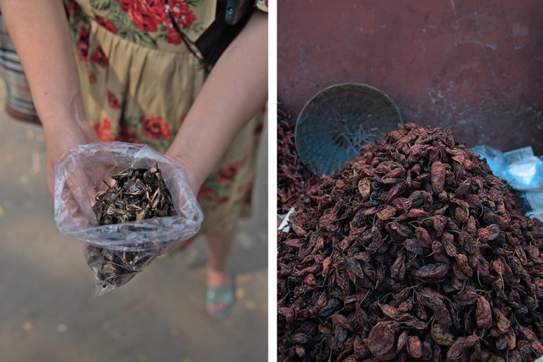 A ‘Stinky’ Ingredient Is the Soul of Northeast India’s Tribal Cooking ...